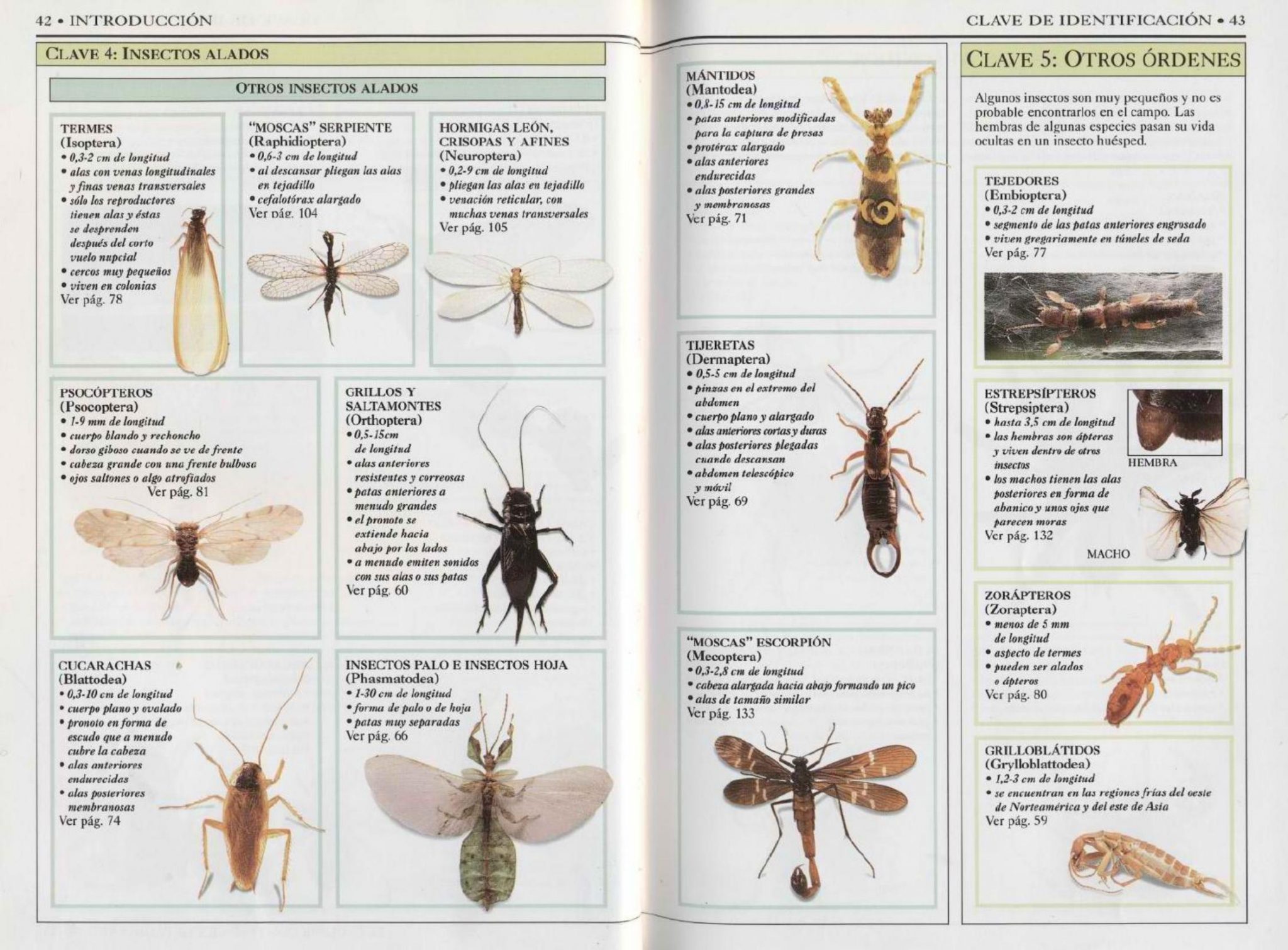 Libro para iniciarte en la entomología y los bichos. - Biologando Con ...