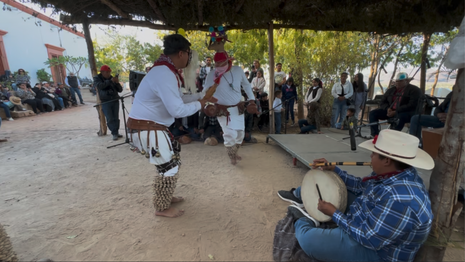 Danza Tradicional de Venado y Pascola Yoreme Mayo FAOT2025 - Biologando ...